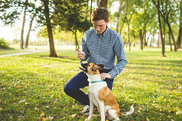 How Often Should I Train My Dog: Expert Advice