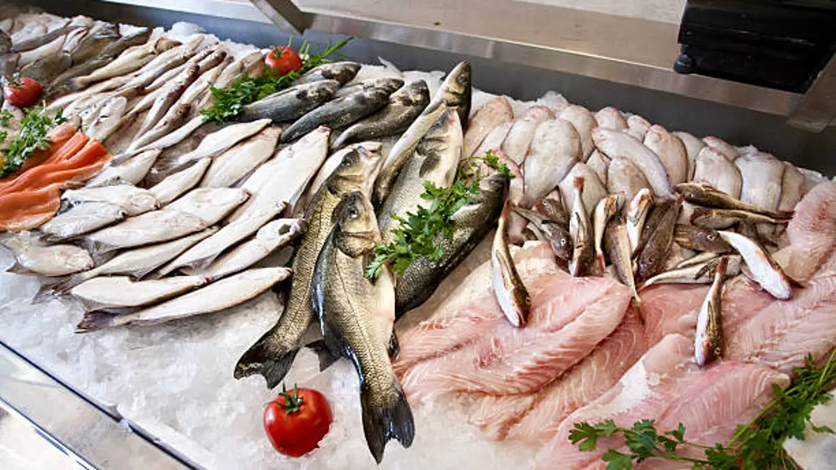Ángel León, el Chef del Mar: "Estos tres pescados son pequeños pero muy ...