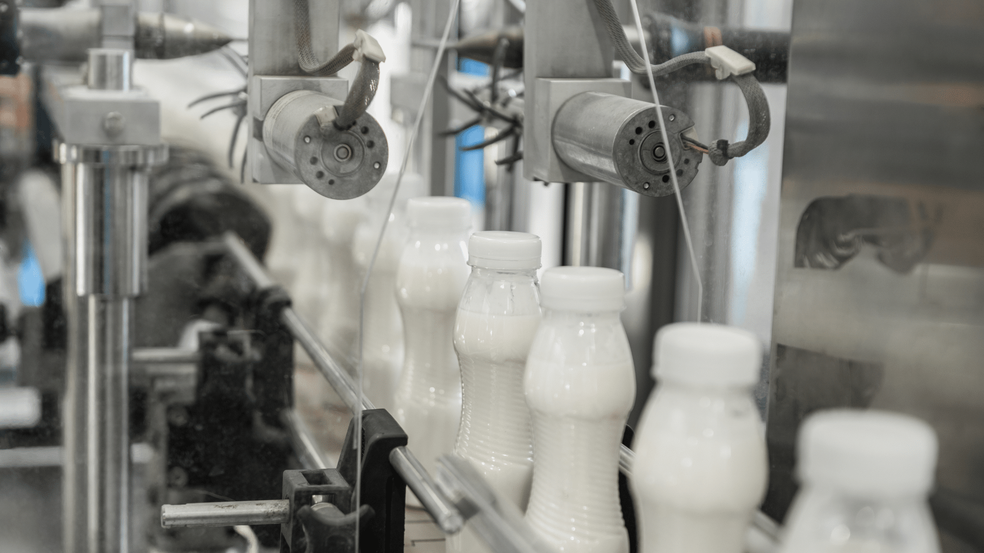 Diversified demand jacked up milk imports in H1