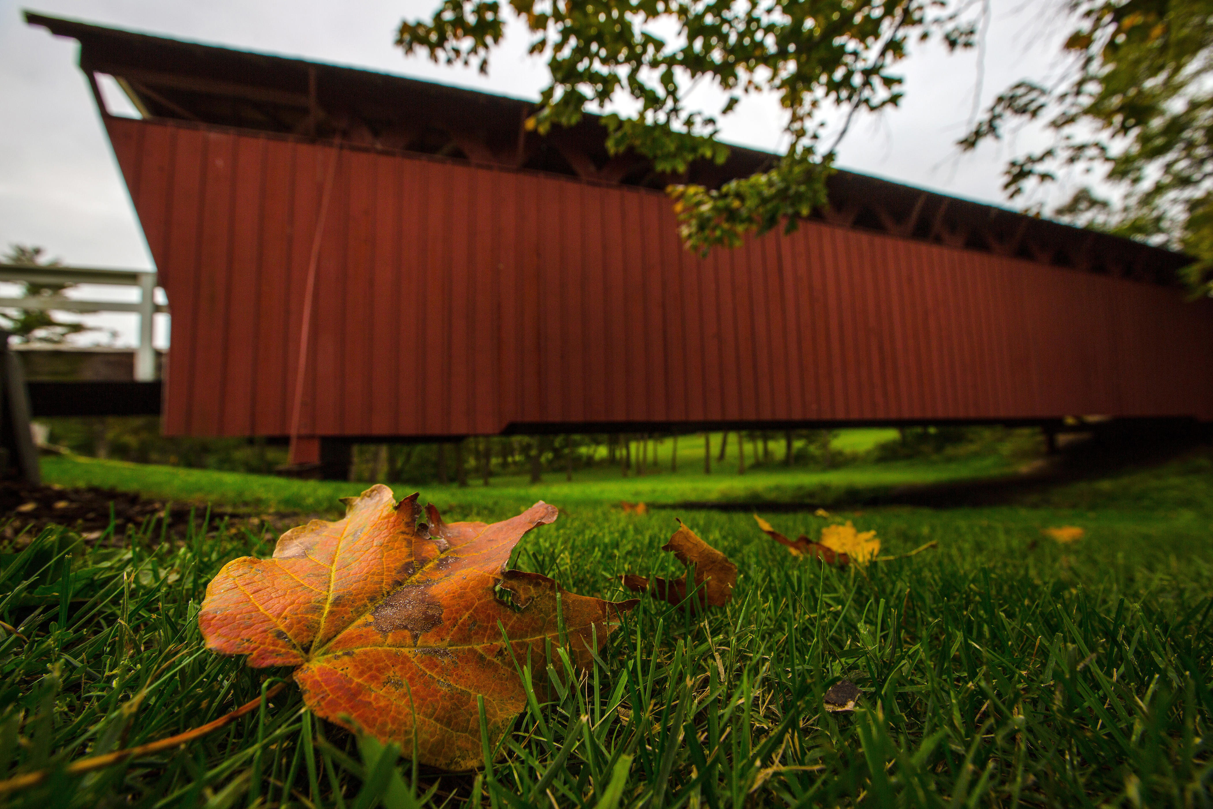 The Bridges of Madison County: A timeless Iowa love story and travel guide