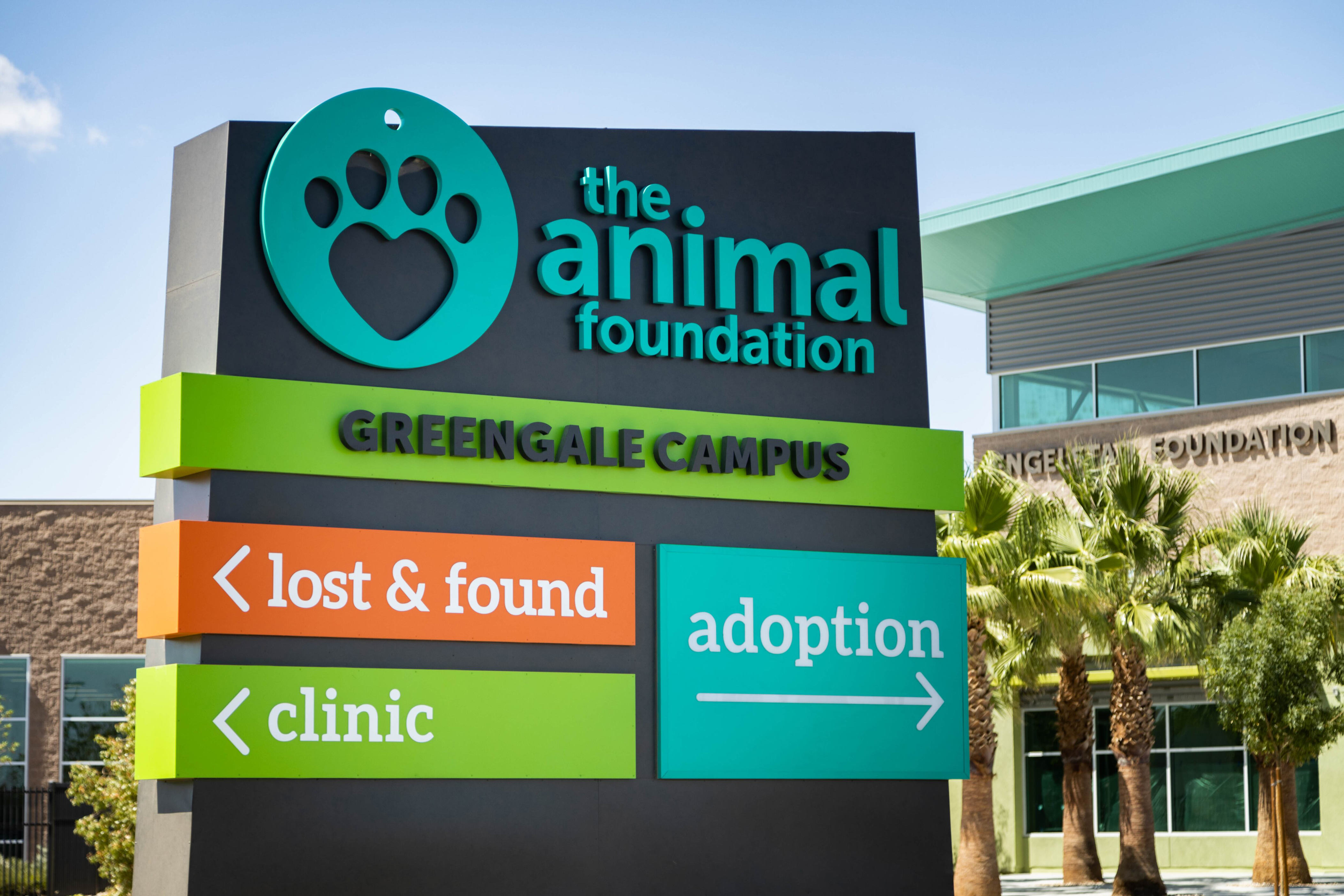 Animal Foundation may have to euthanize animals due to overcrowding