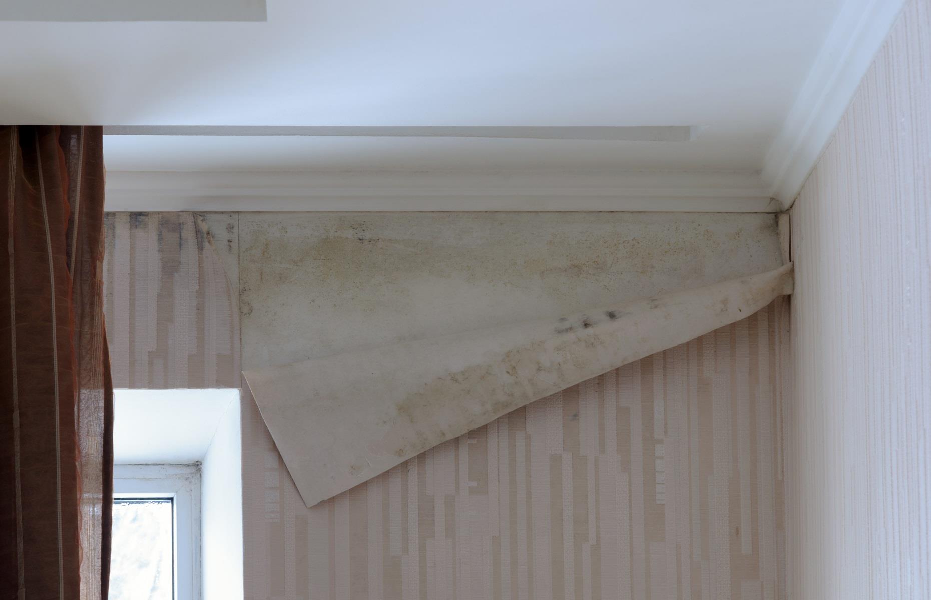 Listing your home? Fix these issues first