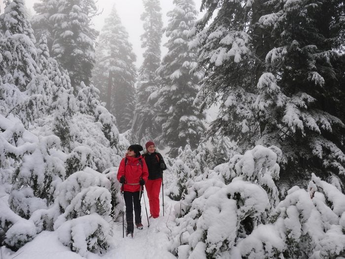The Best Winter Hiking Trails in Every Province