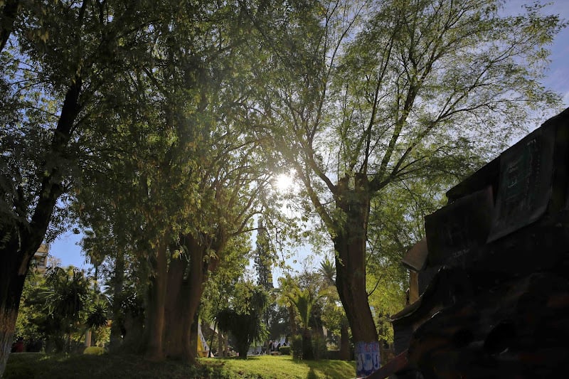 COP30: Education at heart of Morocco’s climate action