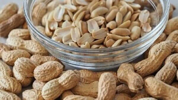 Peanut Side Effects: ఈ సమస్యలుంటే వేరుశనగ అస్సలు తినకండి, అనారోగ్యం ... Peanut Side Effects: ఈ సమస్యలుంటే వేరుశనగ అస్సలు తినకండి, అనారోగ్యం ...