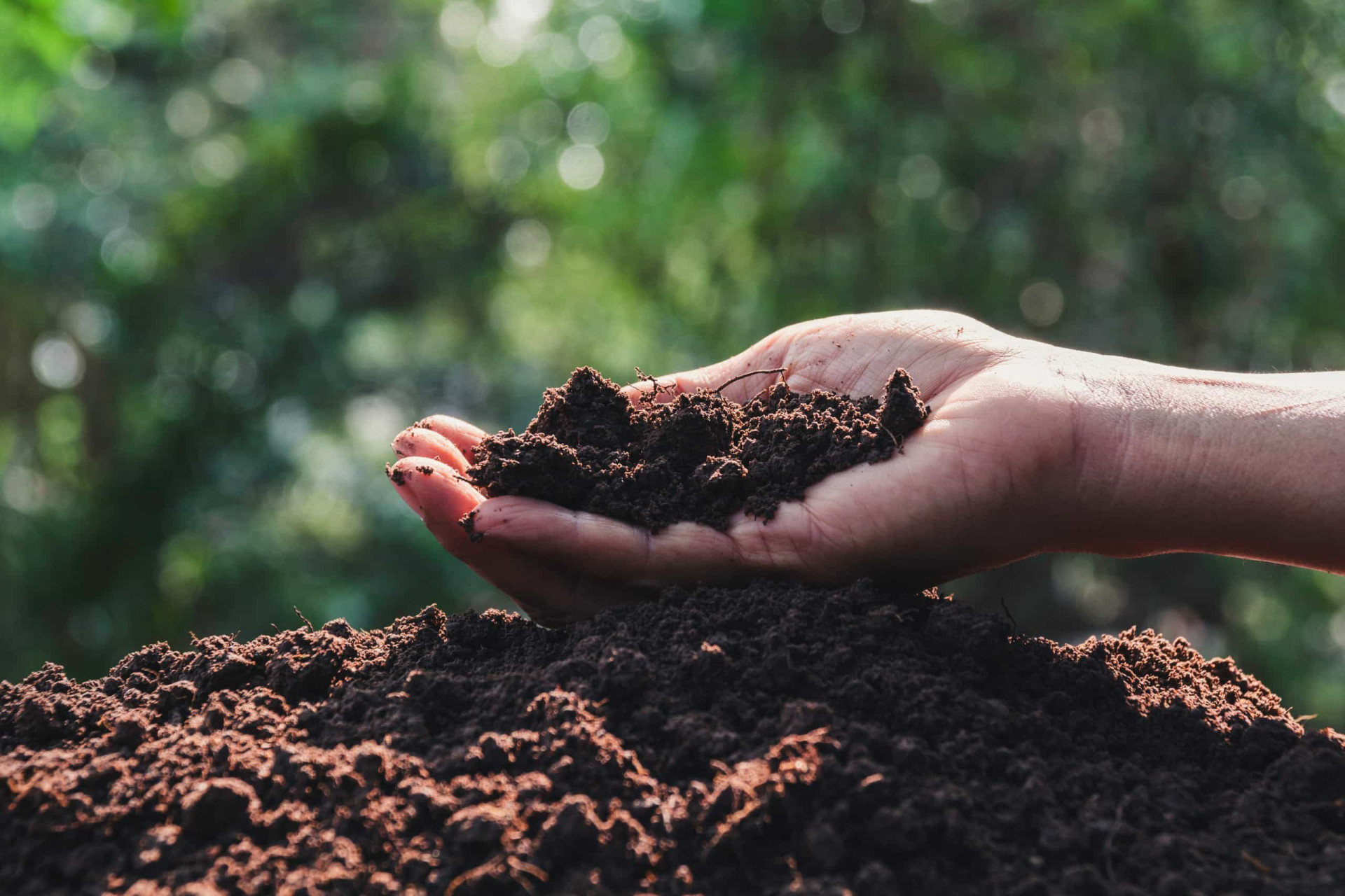 How AI can be used in agriculture