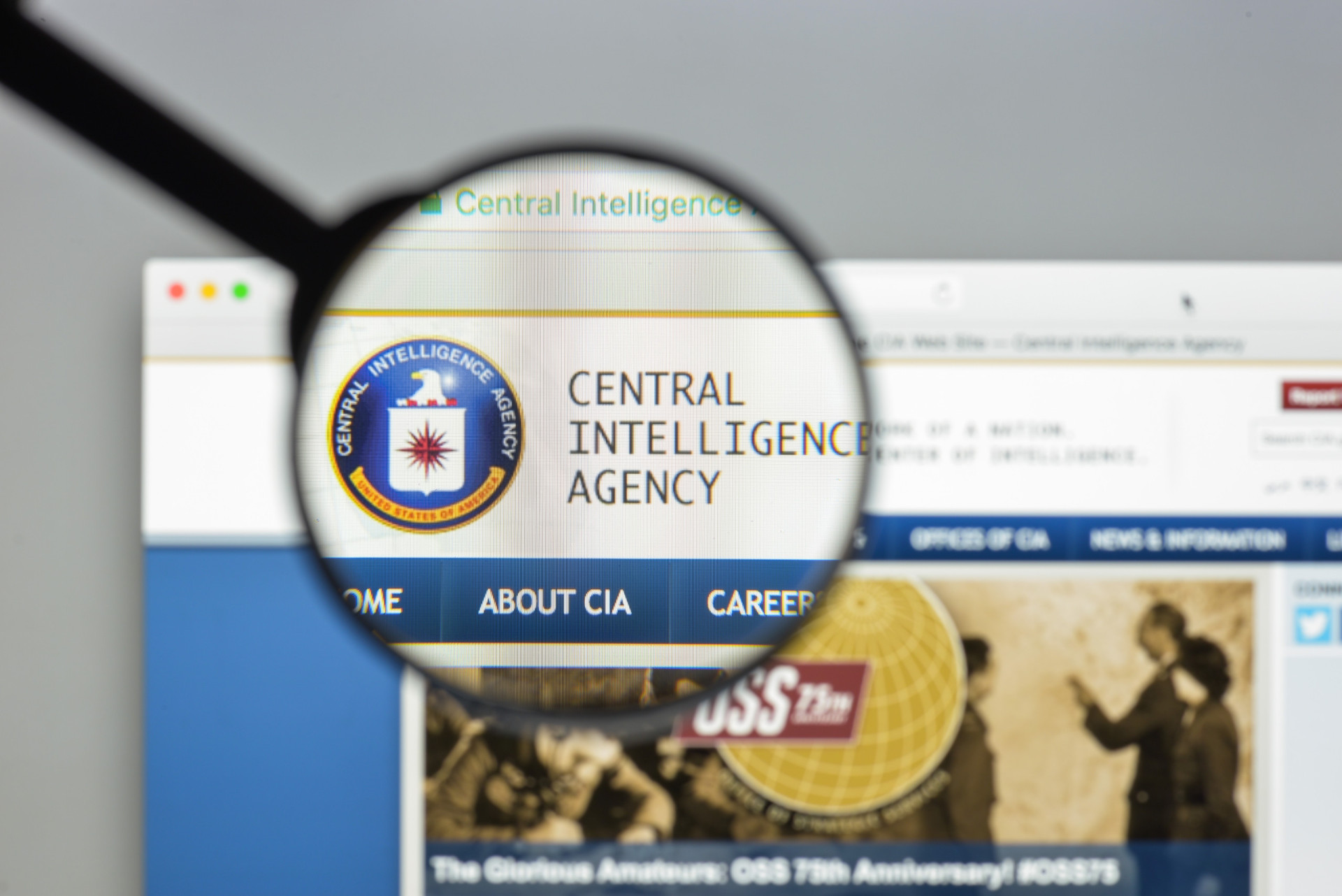 Do you have what it takes to become a spy?