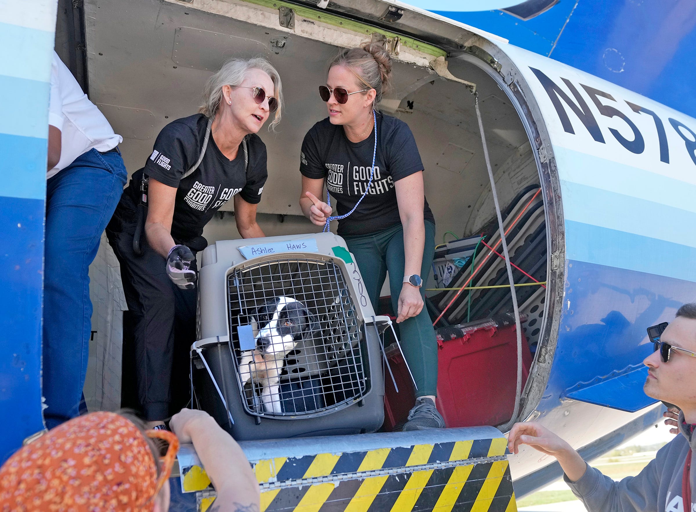 Dogs and cats relocated around the US amid Hurricane Helene: Here's ...