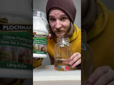 Must-See Gushers Vinegar Jar Experiment Shocks Everyone