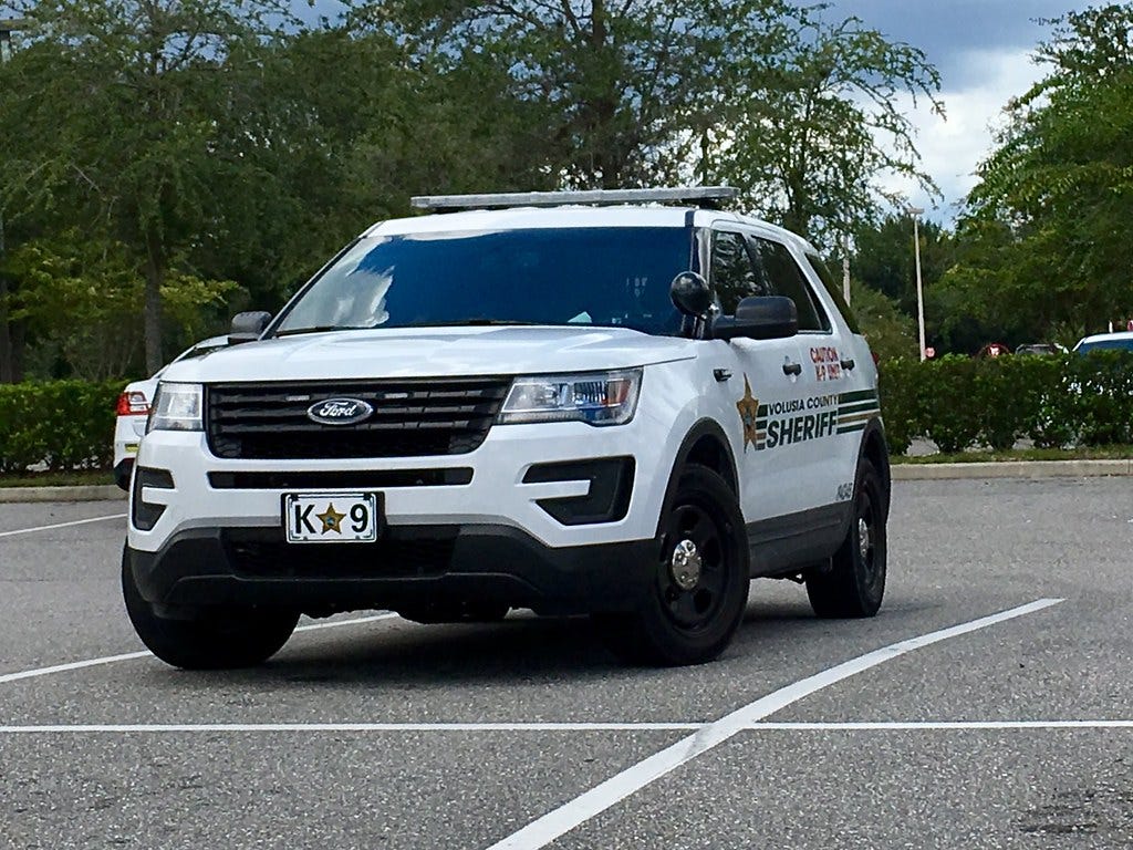 Deltona girl drowns in family pool, sheriff's deputies say