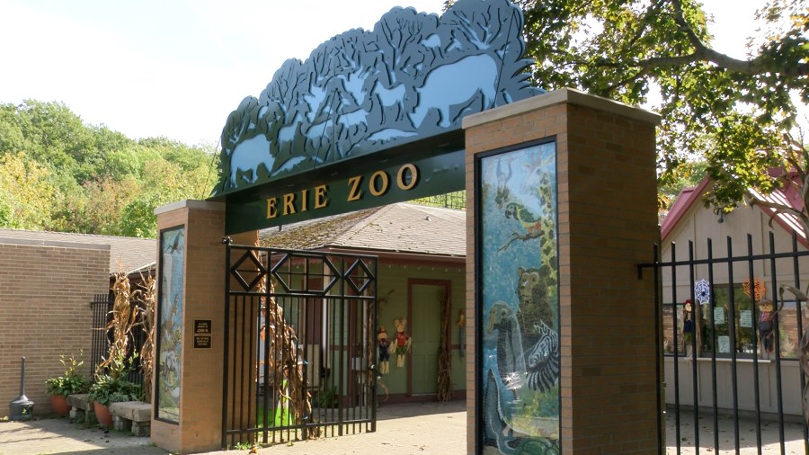 Tickets now available Erie Zoo’s centennial Mane Event