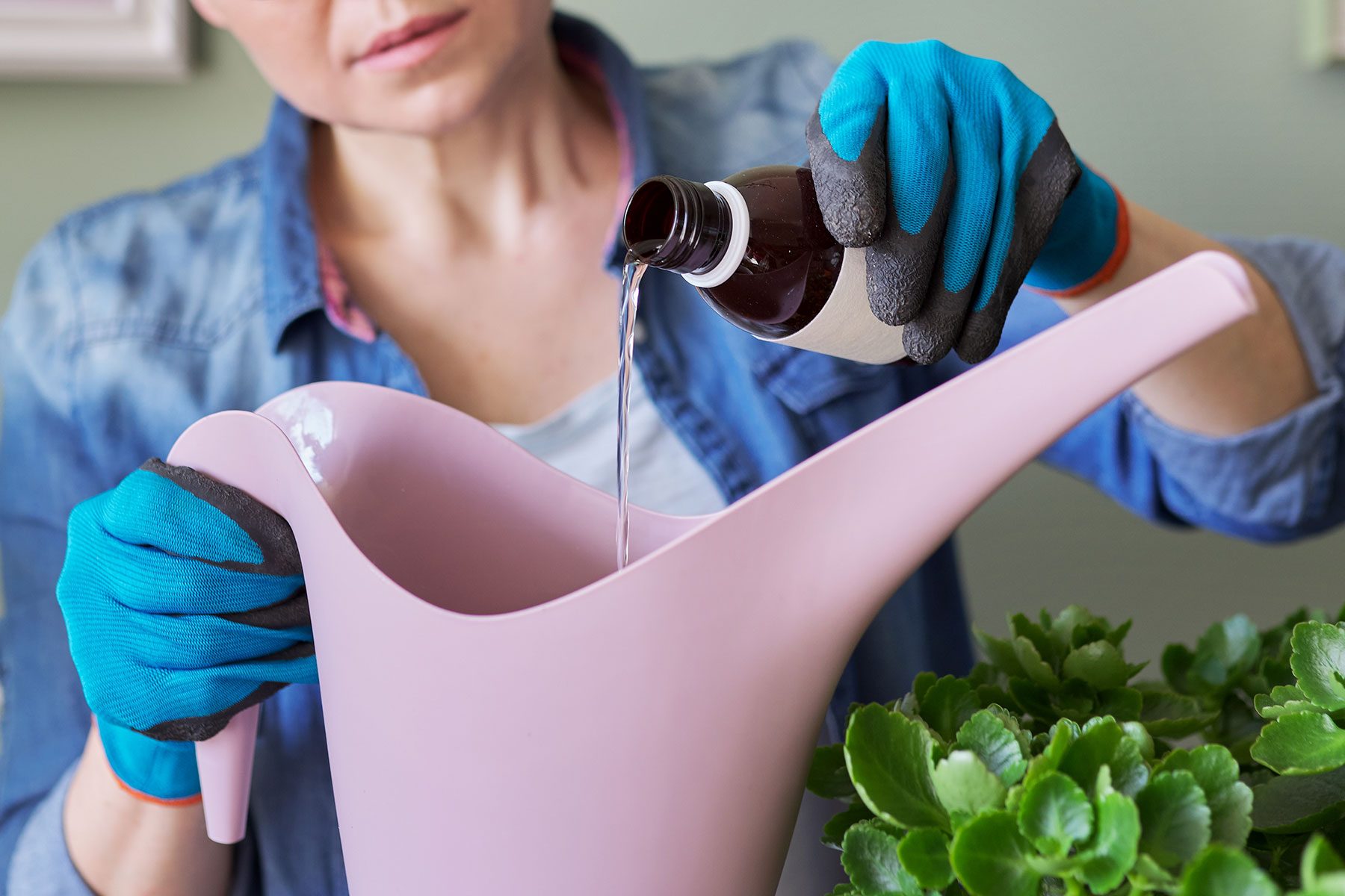 How To Grow Fruits and Vegetables Indoors Year-Round