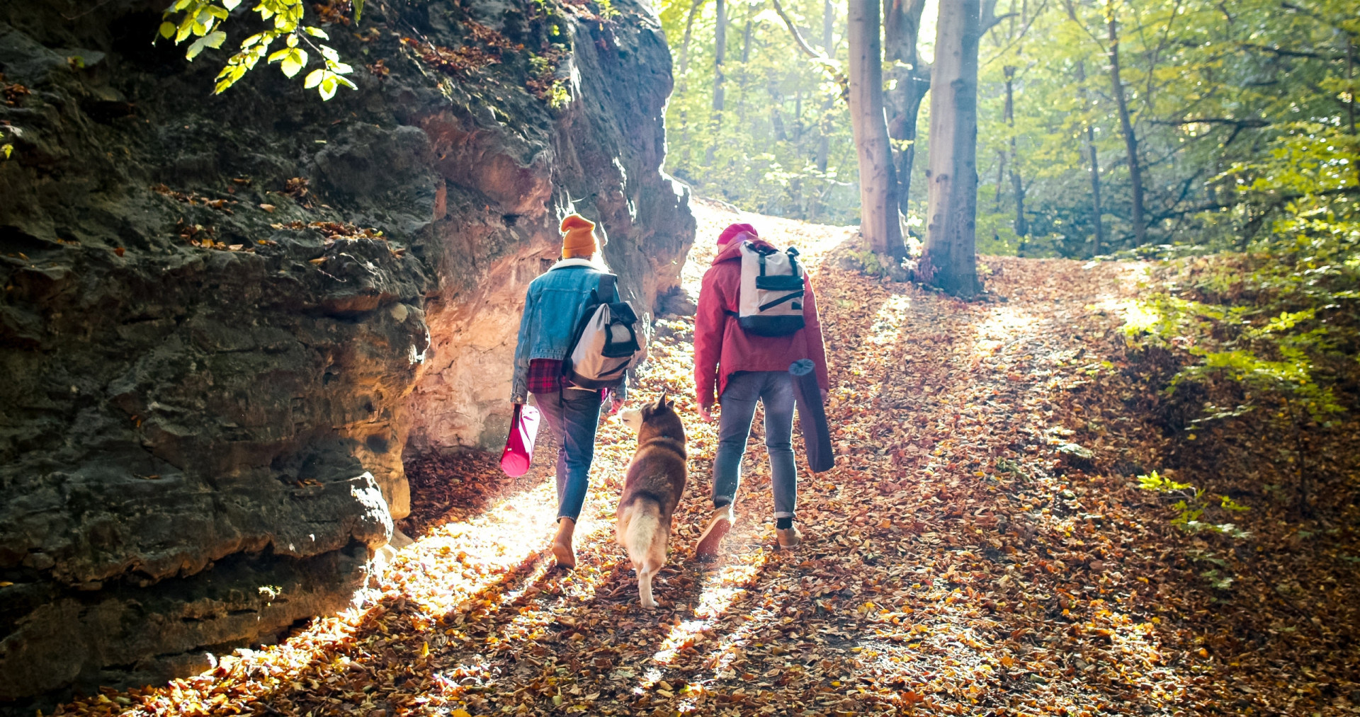 Essential hiking tips everyone should know Essential hiking tips everyone should know