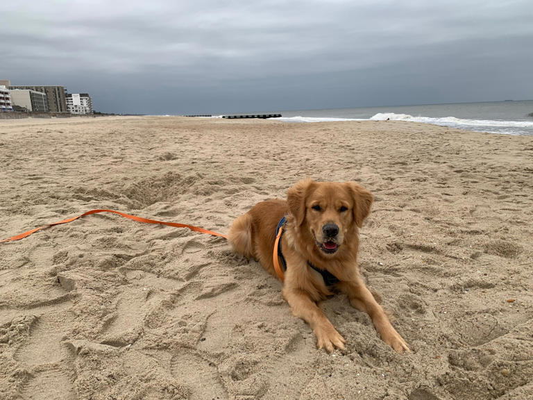 Don’t litter, stay off the dunes and more beach etiquette tips for ...