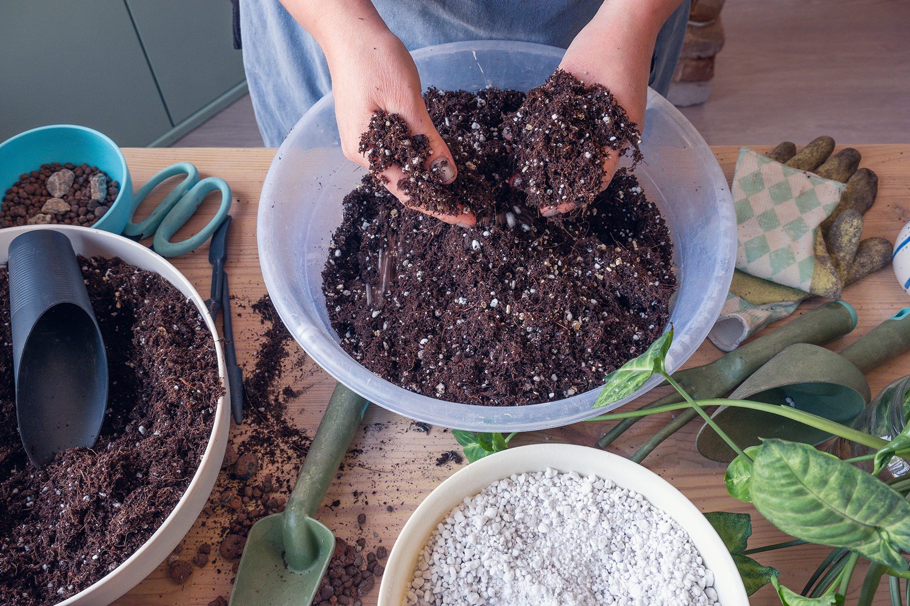 How To Grow Fruits and Vegetables Indoors Year-Round