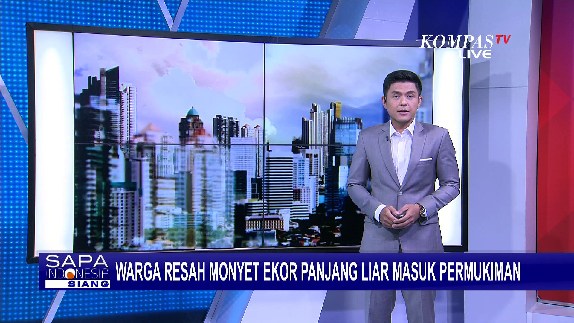 Video Monyet Ekor Panjang Liar Berkeliaran di Permukiman Serang Banten ... Video Monyet Ekor Panjang Liar Berkeliaran di Permukiman Serang Banten ...