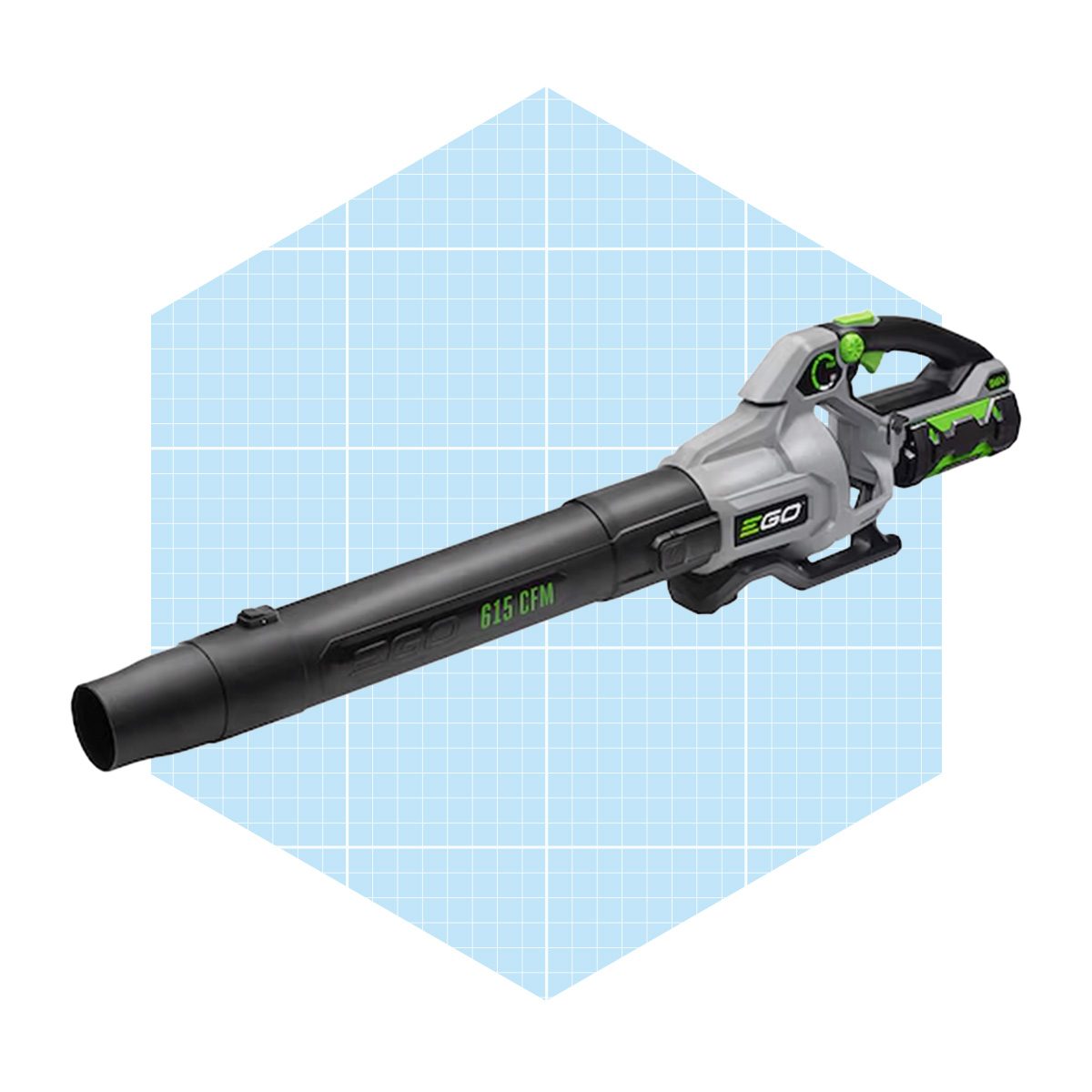 14 Useful Tools for Collecting Leaves