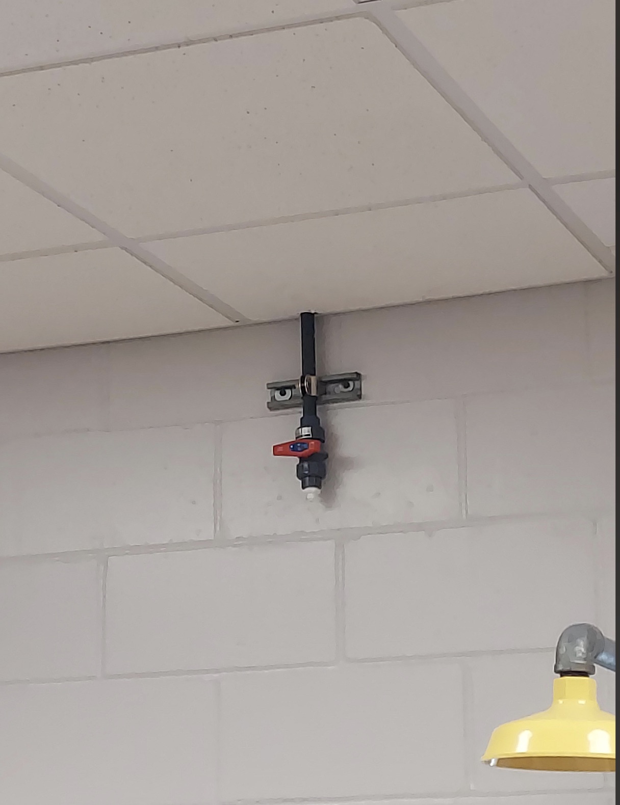 44 Faces Seen In Inanimate Objects