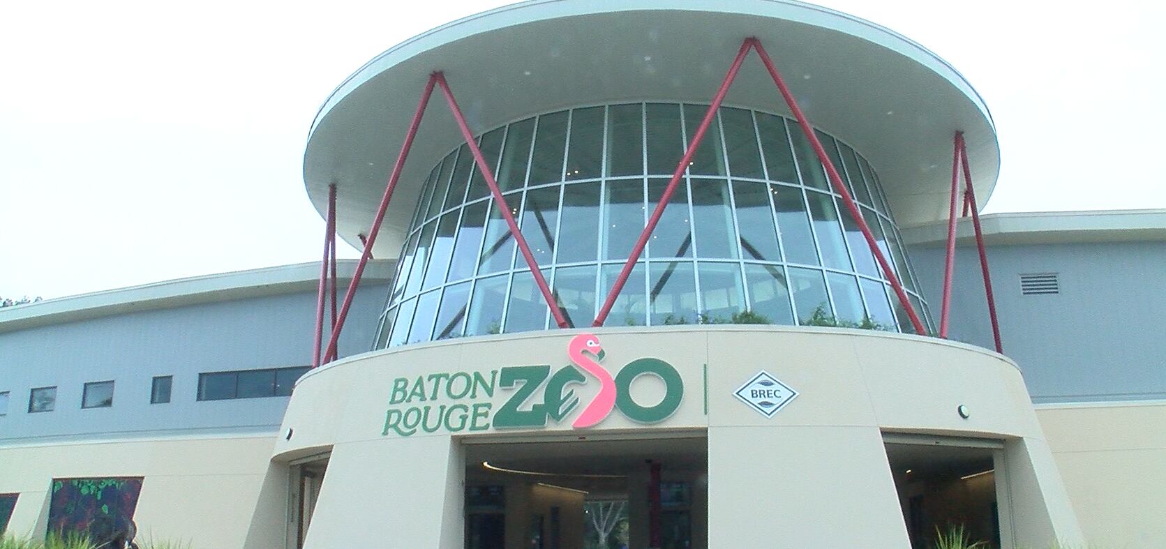 Baton Rouge zoo hosting jaguar naming contest, Mardi Gras-themed event