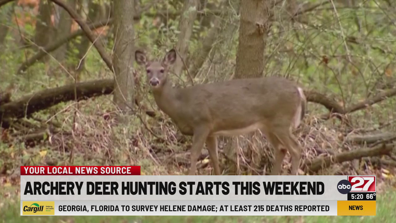 Archery deer hunting starts this weekend Archery deer hunting starts this weekend