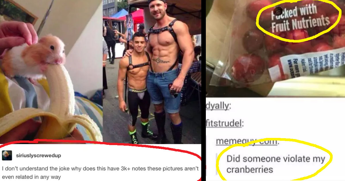 42 Dark Humor Tumblr Memes Not For The Faint Of Heart