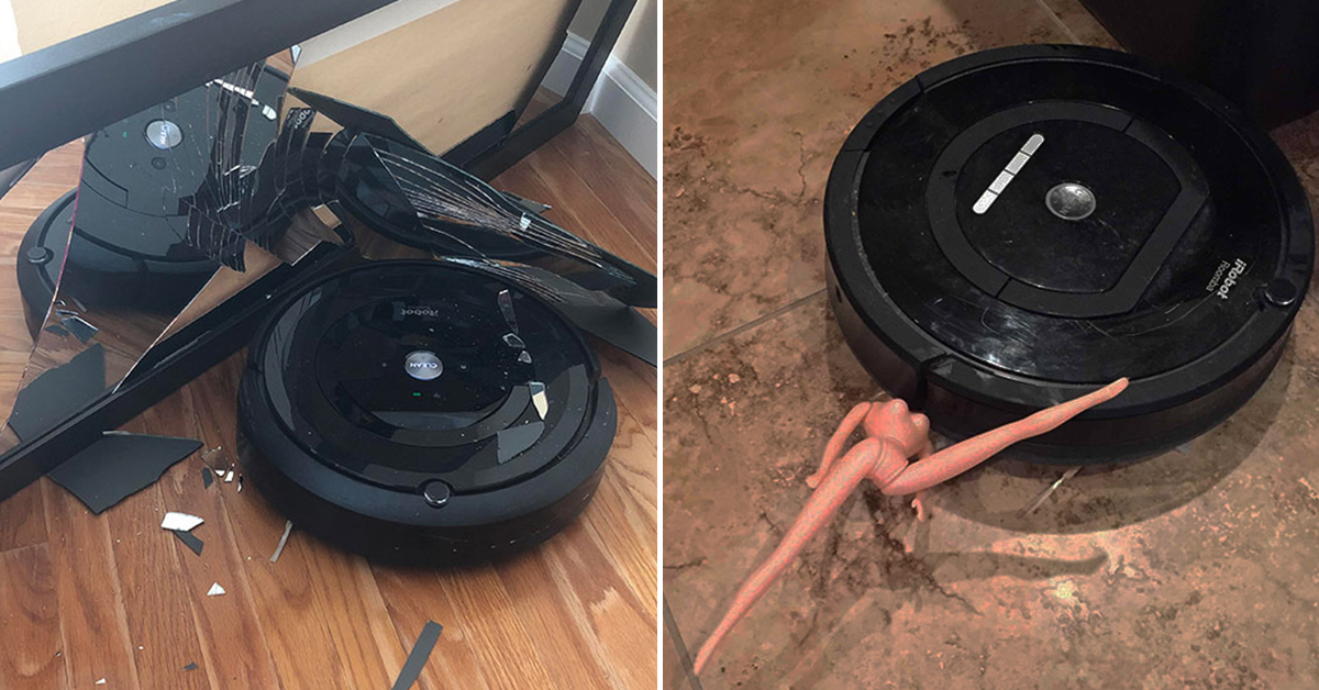 35 Funniest Roomba Fails That Are Pure Chaos and Comedy