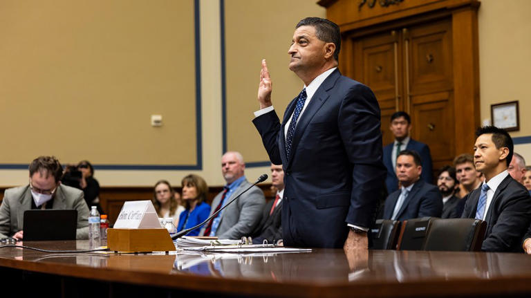 Independent panel calls for removal of Homeland Security watchdog Independent panel calls for removal of Homeland Security watchdog