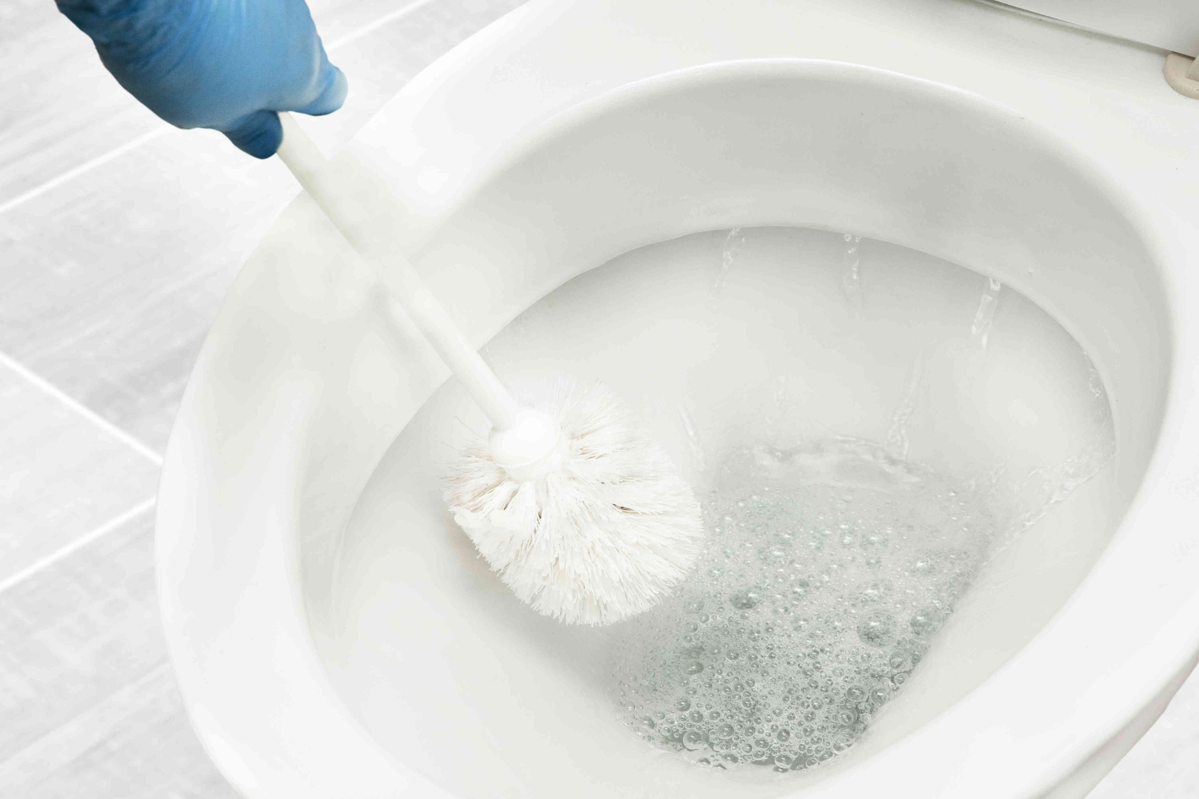 How to get rid of toilet bowl stains for good