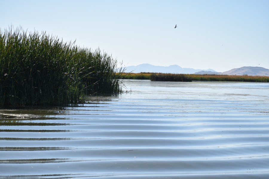 New monitoring plan announced to learn more about Great Salt Lake dust ...
