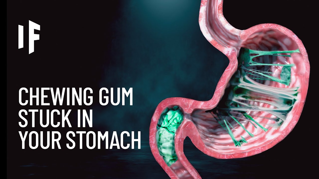 What happens if you accidentally swallow chewing gum?