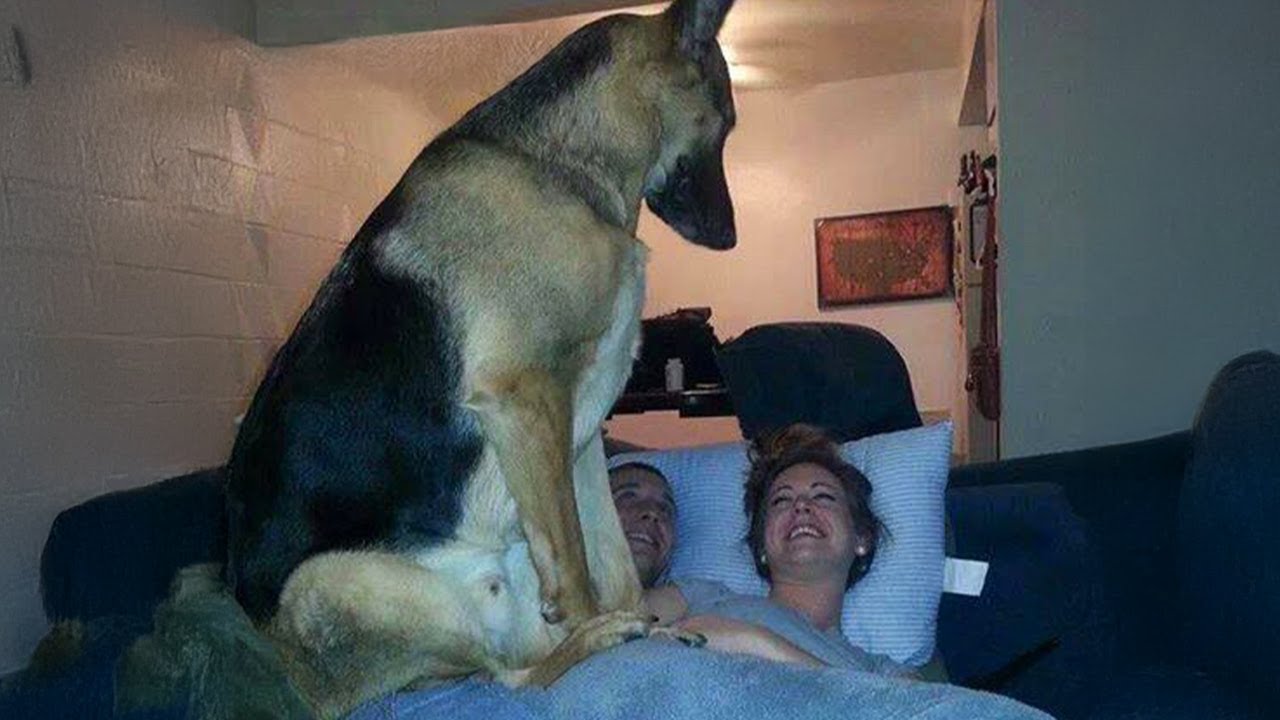 Dog loves being the center of attention