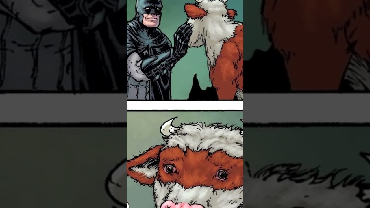 Meet Batman’s Cow the Adorable Hero Known as Batcow