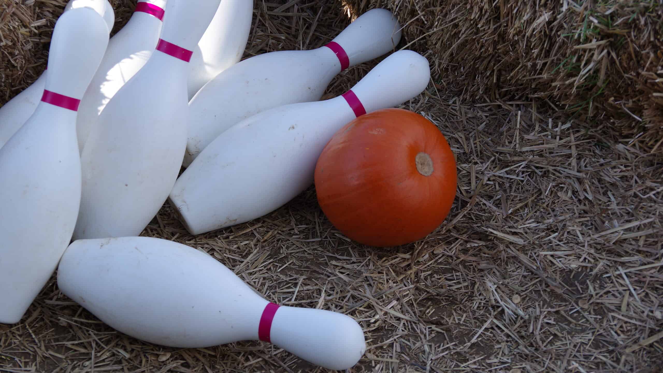 Creepy and Creative Ways to Celebrate Halloween