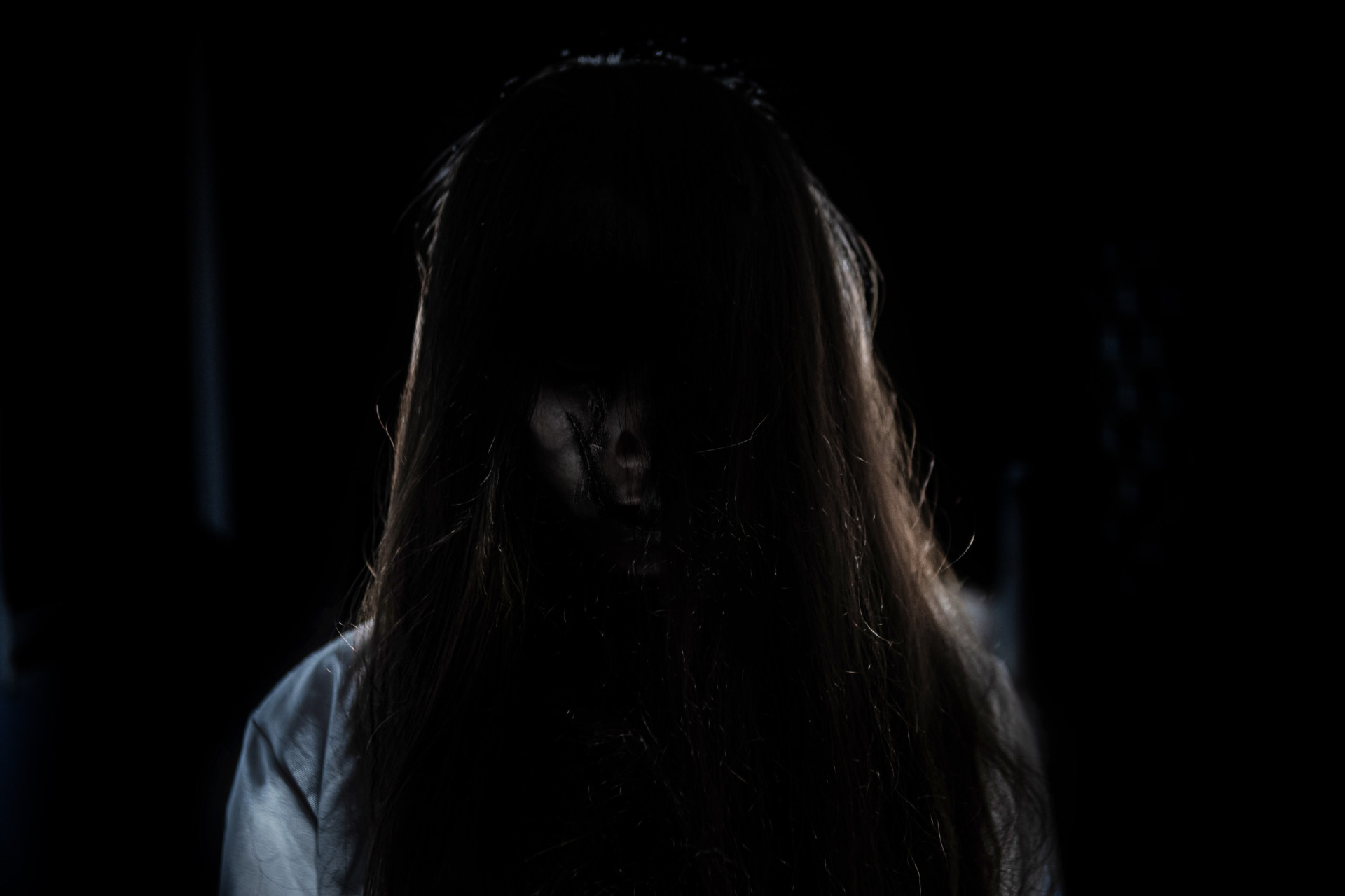 How three extinct animals could be brought back in just four years