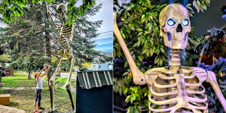 Skelly, the viral 12-foot skeleton, is back in stock for Halloween ...