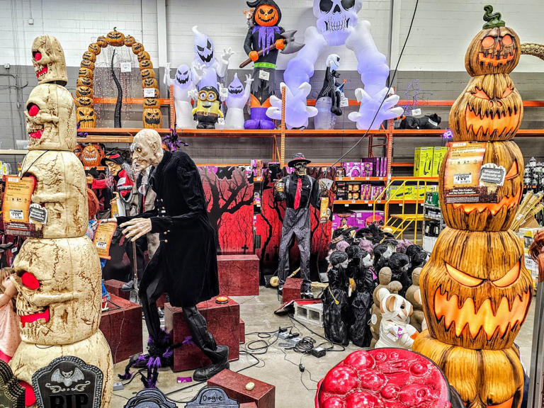 Skelly, the viral 12-foot skeleton, is back in stock for Halloween — here's why you should snag ...