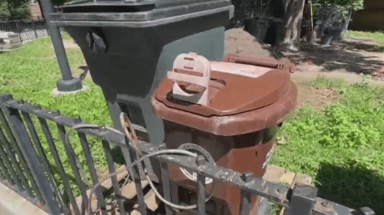 Mandatory Composting In Nyc Heres What You Should Know