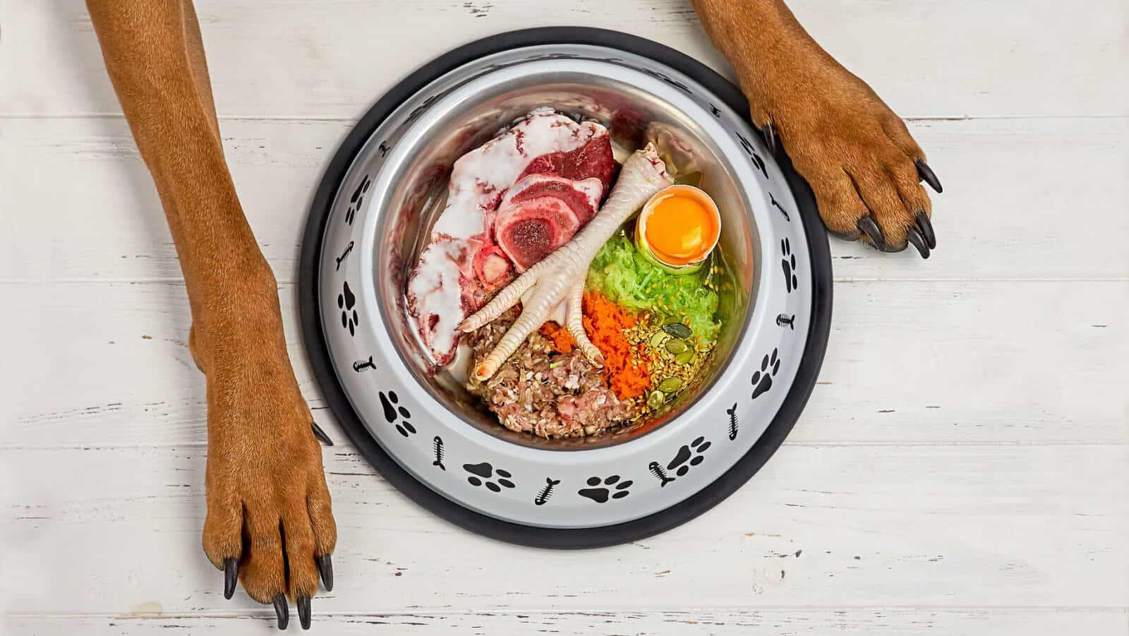 Is Commercial Dog Food Putting Your Pet's Health at Risk? Why Home ... Is Commercial Dog Food Putting Your Pet's Health at Risk? Why Home ...