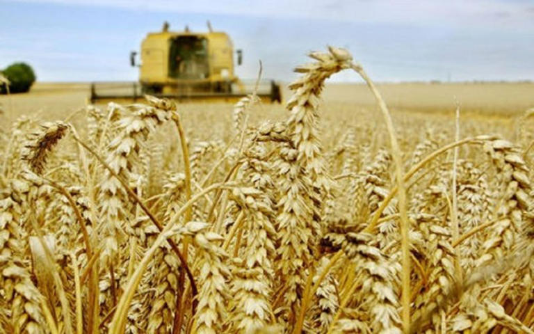 Morocco grain outlook improves as rainfall and dam levels rise