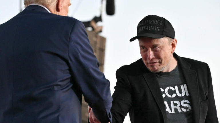 Elon Musk’s US government ‘takeover’ sounds alarm bells Elon Musk’s US government ‘takeover’ sounds alarm bells