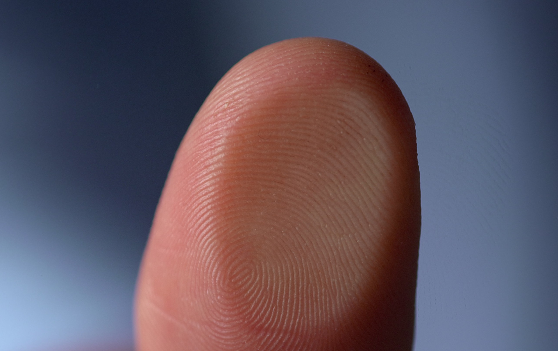 30 amazing facts about fingerprints