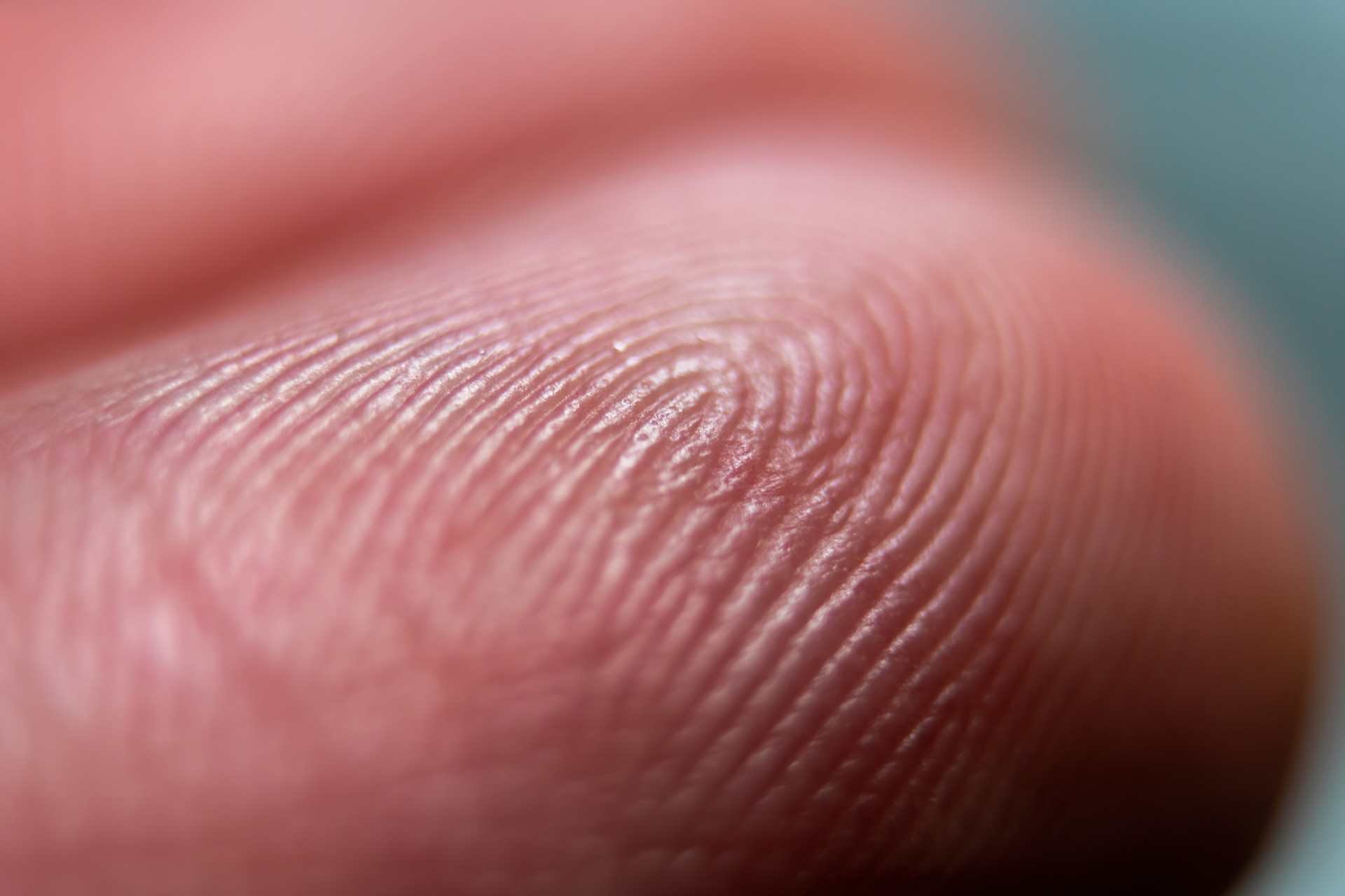30 amazing facts about fingerprints