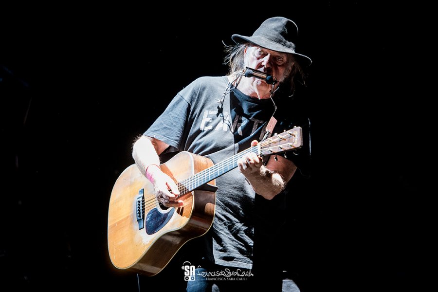Neil Young ha paura che le critiche a Trump possano impedirgli di ...