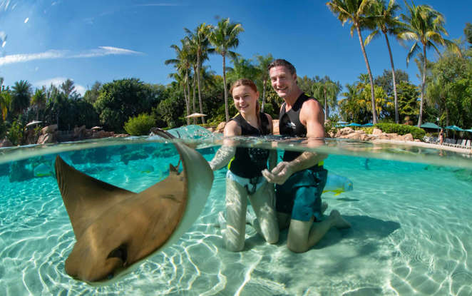For a Limited Time, Admission to Orlando’s Best Theme Park Is Up to 40% Off For a Limited Time, Admission to Orlando’s Best Theme Park Is Up to 40% Off