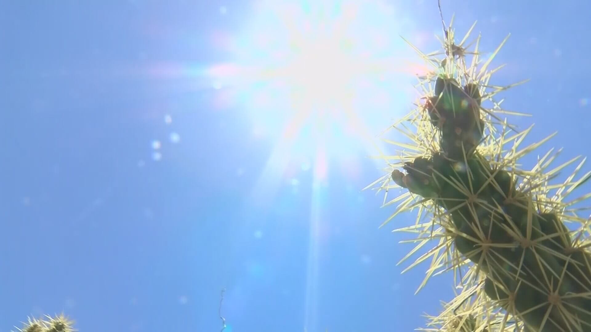 Phoenix reaches 110 degrees or hotter for 70 days this year