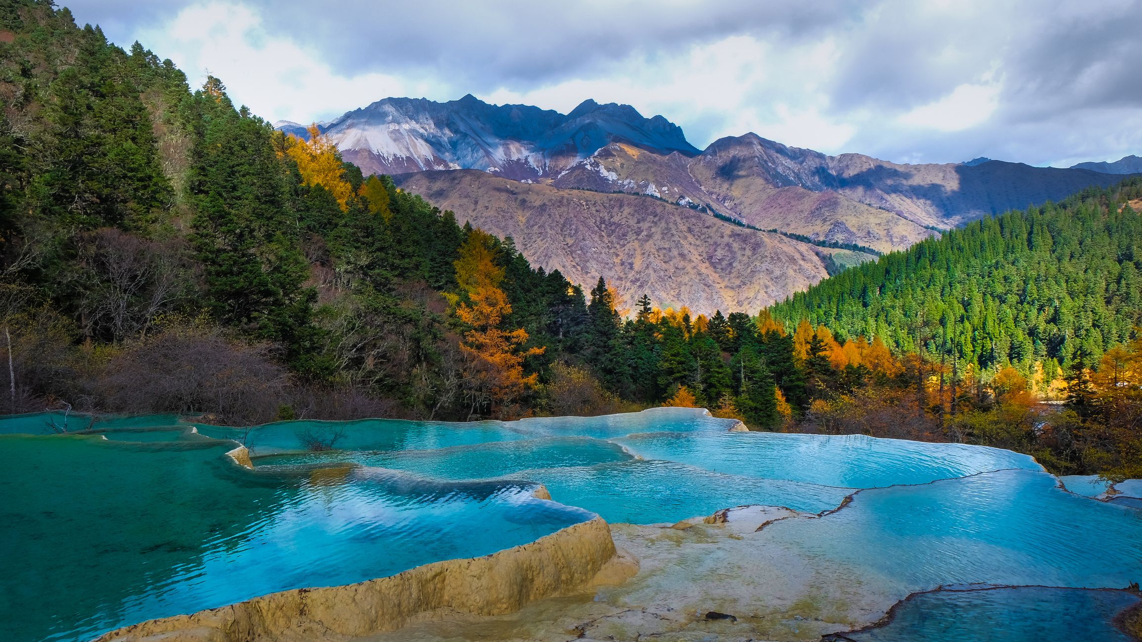 The 10 most beautiful forests around the world to add to your travel list