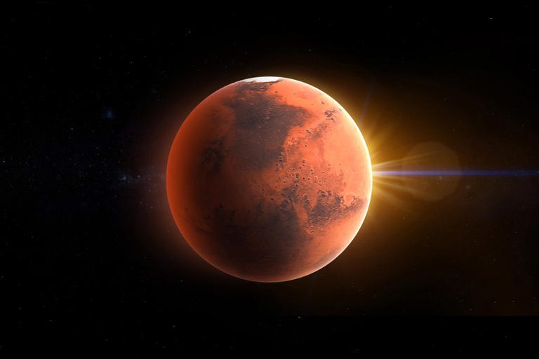 Atlas Lionesses' World Cup journey ends in quarter-finals against Spain