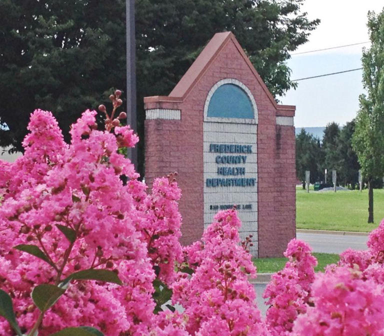Stray cat tests positive for rabies in Woodsboro; health officials warn ...