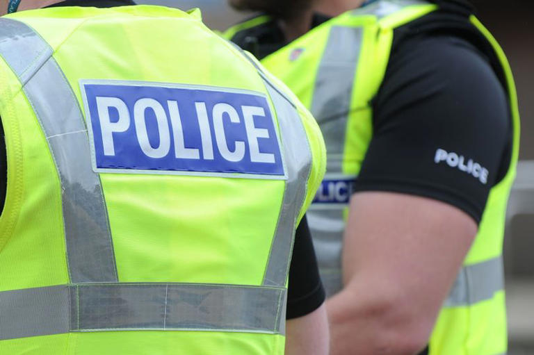 Police renew appeal after man knocked unconscious as he sat on park ...