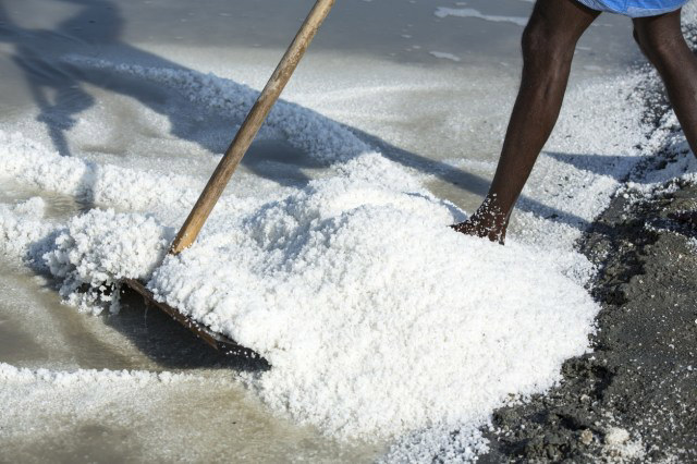 Scientists make alarming discovery in salt and sugar products: 'Our ... Scientists make alarming discovery in salt and sugar products: 'Our ...